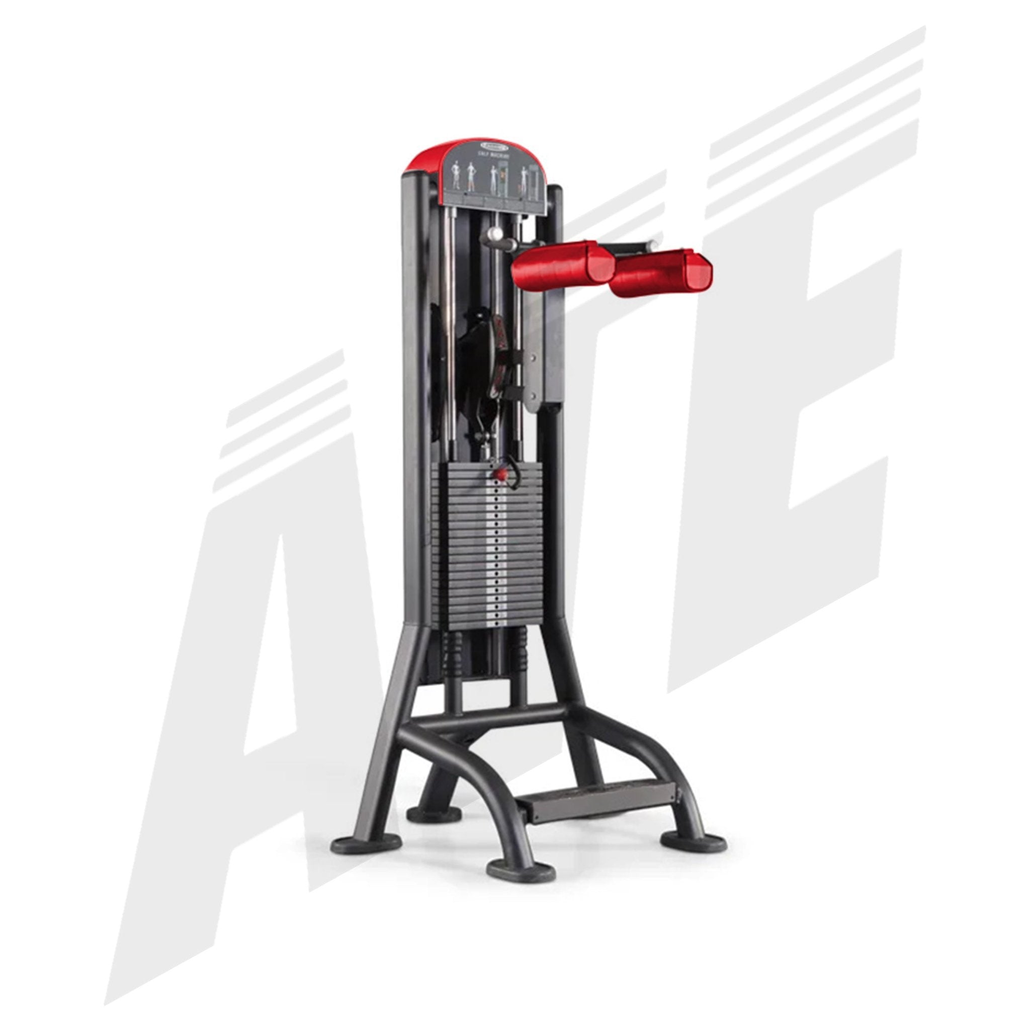 Calf Machine - Pin Loaded Strength Machines – ATEONLINESHOP